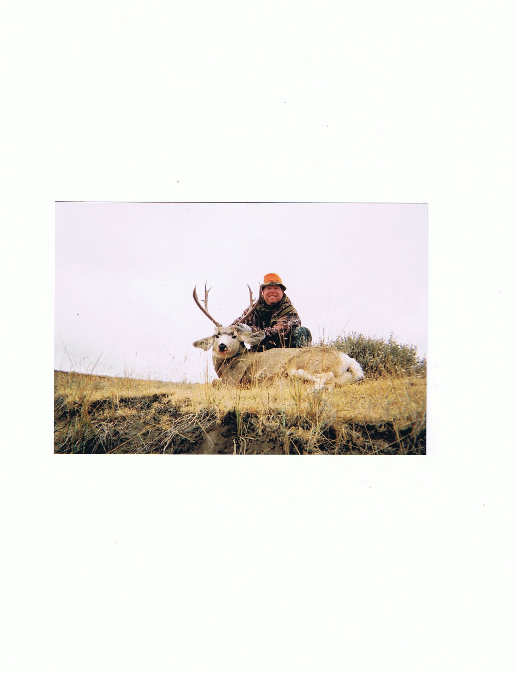 2008 Mule Deer – Thomas Ranch Outfitters