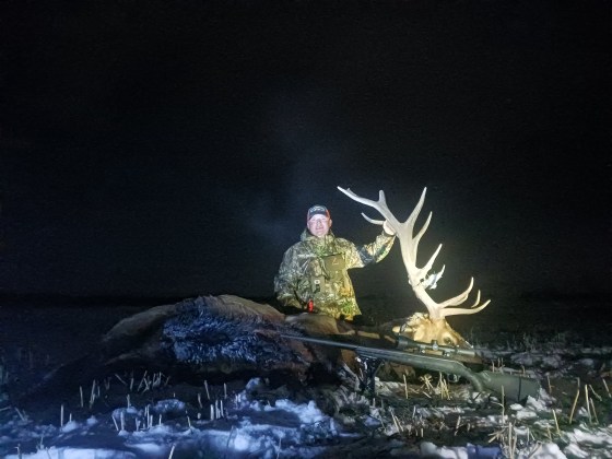 2023 Elk – Thomas Ranch Outfitters