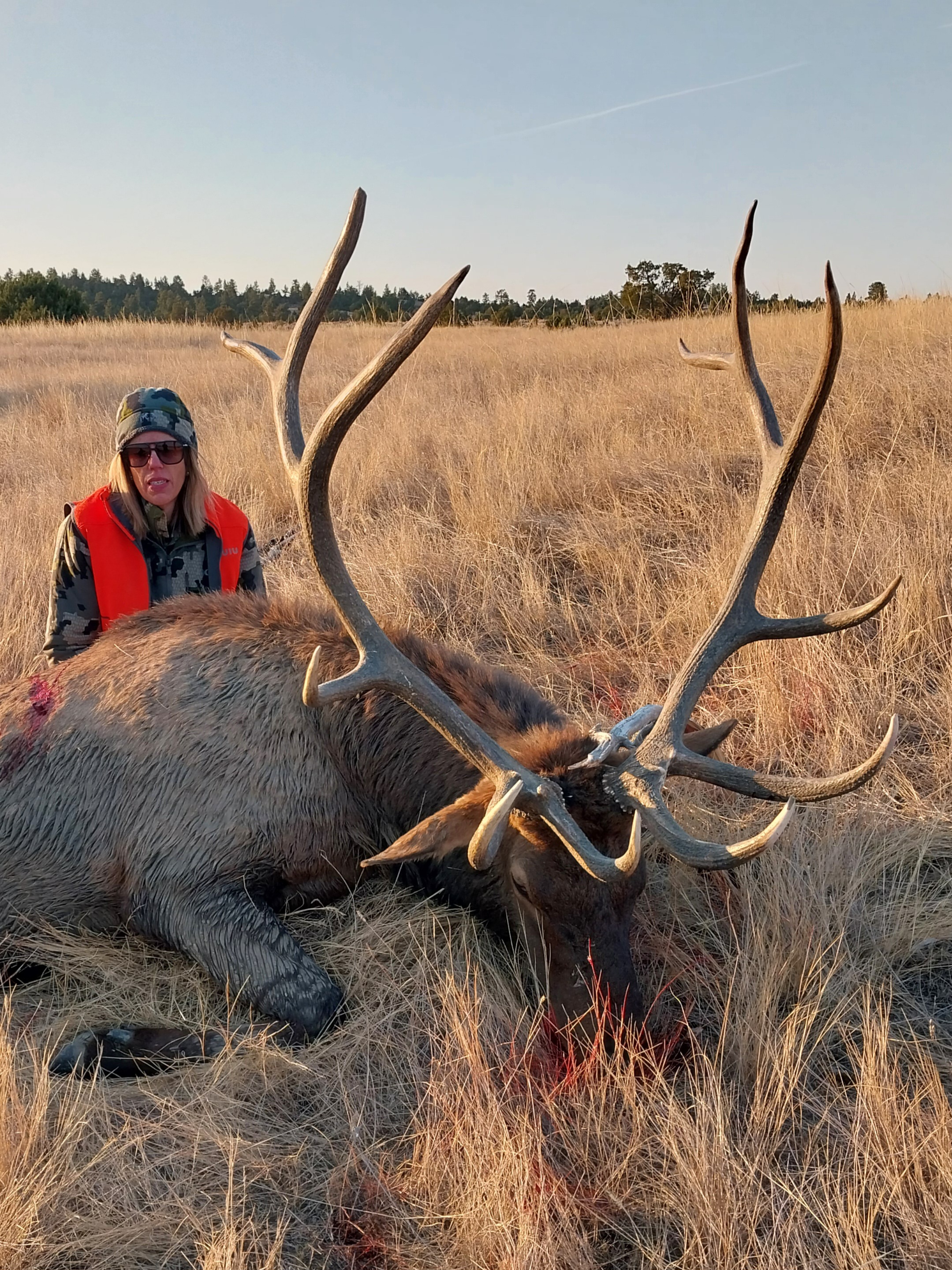 2024 Elk – Thomas Ranch Outfitters